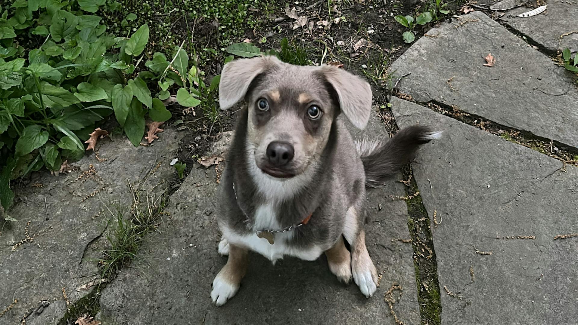 Get To Know Ginger Gee-Abesdris | Gee Beauty